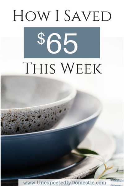 Week 30: How I Saved $65 - Unexpectedly Domestic