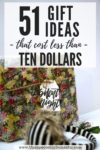 51 Cheap & Creative Gift Ideas Under $10 (that people actually want!)