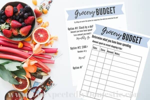 The Quickest & Easiest Way to Create a Grocery Budget - Unexpectedly ...