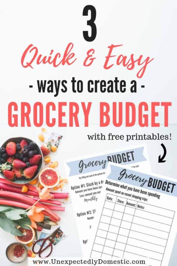 The Quickest & Easiest Way to Create a Grocery Budget - Unexpectedly ...