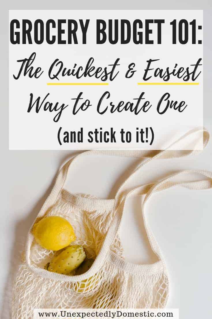 The Quickest Easiest Way To Create A Grocery Budget Unexpectedly