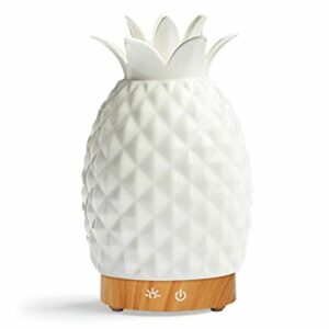 10 Pretty Essential Oil Diffusers (to make your home look & smell fabulous)
