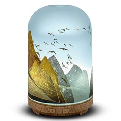 10 Pretty Essential Oil Diffusers (to make your home look & smell fabulous)