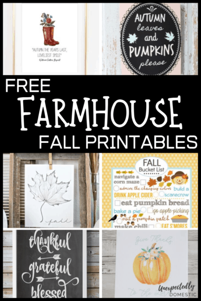 15 Beautiful Free Fall Printables - Decorating for Fall on a Budget!