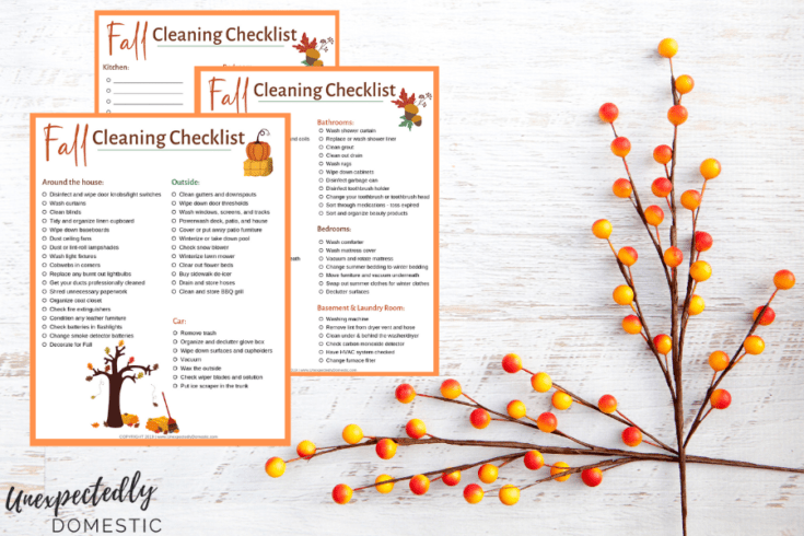 The Ultimate Fall Cleaning Checklist - How to Prep Your House for ...