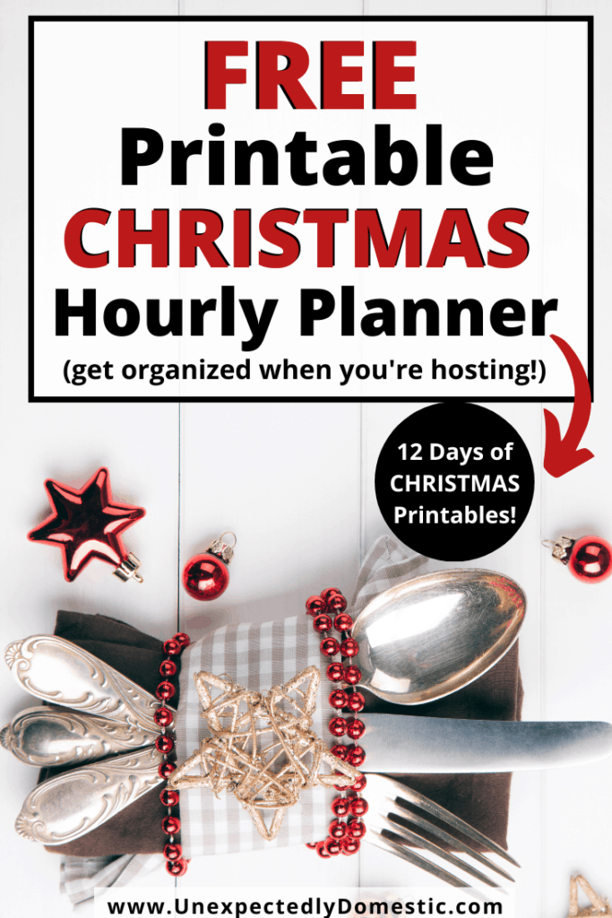 Christmas Day Planner Template - FREE Hourly Printable!
