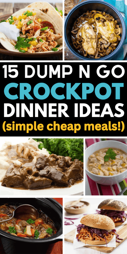 15 SUPER Easy Slow Cooker Dump Meals (all dump and go recipes!)