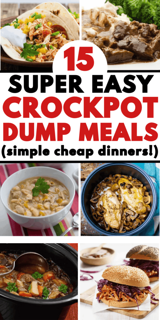 15 SUPER Easy Slow Cooker Dump Meals (all dump and go recipes!)