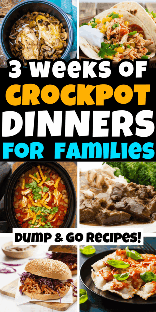 15 SUPER Easy Slow Cooker Dump Meals (all dump and go recipes!)