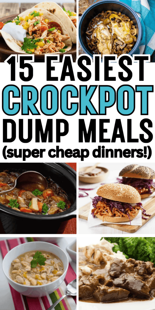 15 SUPER Easy Slow Cooker Dump Meals (all dump and go recipes!)