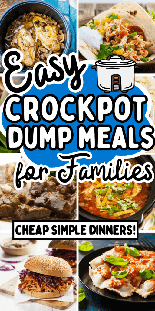 15 SUPER Easy Slow Cooker Dump Meals (all dump and go recipes!)