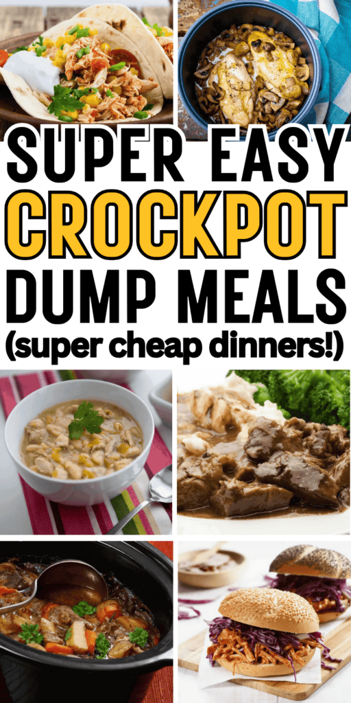 15 SUPER Easy Slow Cooker Dump Meals (all dump and go recipes!)