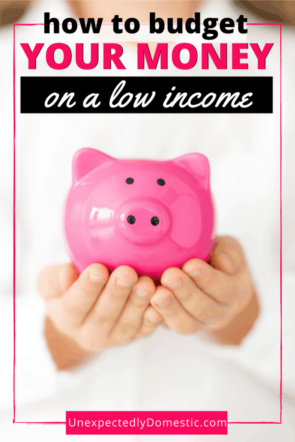 How to Survive on a Low Income - Tips for Living on a Tight Budget