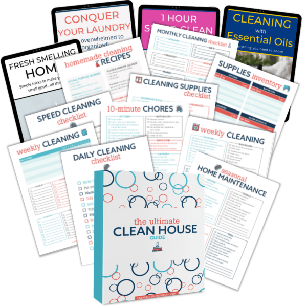 Clean House Guide Flash Sale - Unexpectedly Domestic