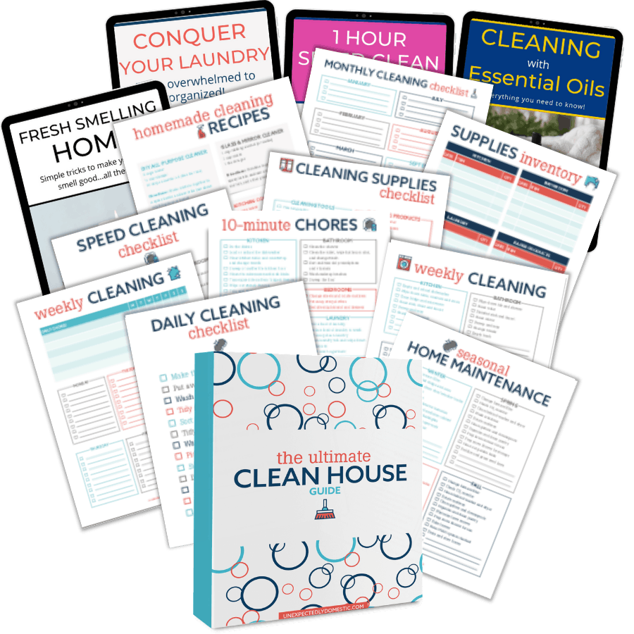 Clean House Guide Flash Sale - Unexpectedly Domestic