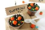 85 Festive Fall Treats & Desserts to Satisfy Your Autumn Cravings ...