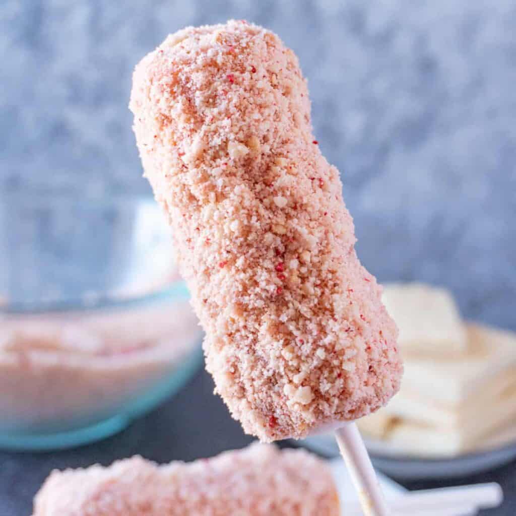 21 Fun Dessert Kabobs - Easy Dessert on a Stick Ideas