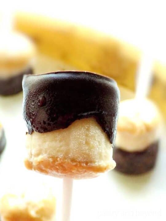 21 Fun Dessert Kabobs - Easy Dessert on a Stick Ideas
