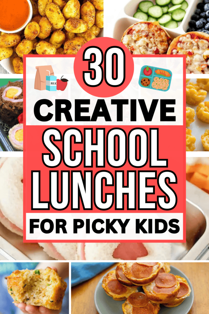30 Kids School Lunch Ideas for Picky Eaters