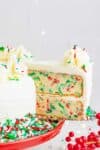 45 Festive Christmas Cakes for Fun Holiday Desserts that Feed a Crowd