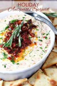 50 Best Christmas Dips for Easy Holiday Party Appetizers and Desserts