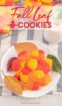 30 Cute Decorated Fall Sugar Cookies for Festive Autumn Baking